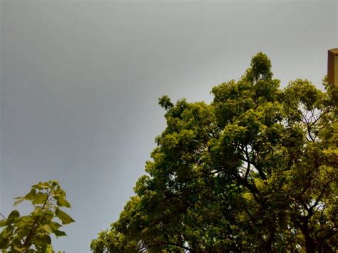 Huawei Honor Bee Review