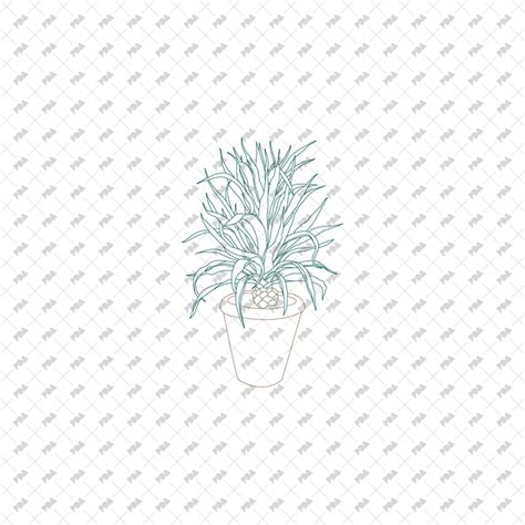 Cad Vector Indoor Plants In Color And B W Set Front View Post Digital Architecture