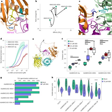 下一代 Abacus 生物传感器揭示了低空气湿度下驱动根系生长的细胞 Aba 动力学 Nature Plants X Mol
