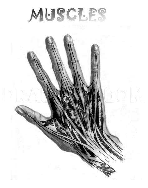 How To Draw Realistic Hands Draw Hands Step By Step Hands People
