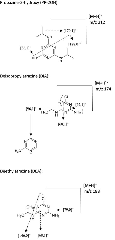 Ms Fragmentation Precursor Ion For Each Metabolites Download