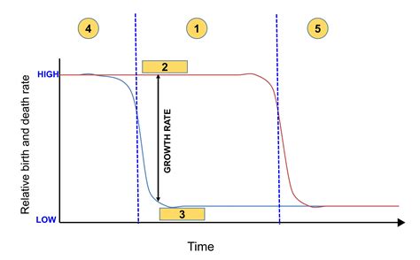 In The Following Graph Showing A Demographic Transition Model Id