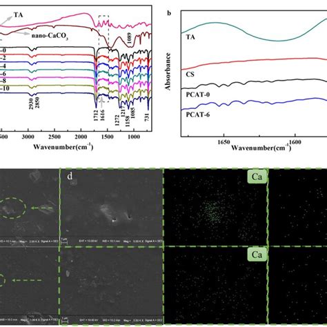A Ftir Spectra Of Composites With Different Proportions Of Tannic Acid