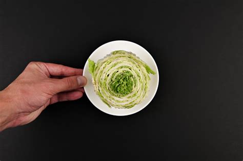 검은 배경에 손에 북경 양배추 화이트 베이징 양배추입니다 신선한 식이 녹색과 흰색 북경 양배추의 영구 관리자 컷 아웃의 모양