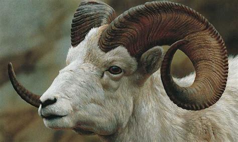 6ря Разряды прилагательных 6th Grade Quiz Quizizz