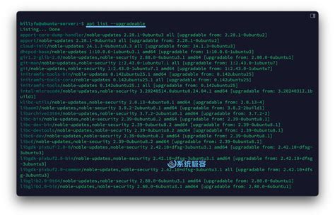 Linux APT 命令实战教程UbuntuDebianMint 用户必备指南 系统极客