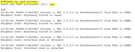 How Does Ospf Dr Election Work A Beginners Approach Ccna Practical