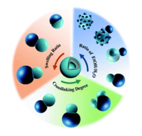 Shape Tunable Polymeric Janus Nanoparticles With Hollow Cavities Derived From Polymerization