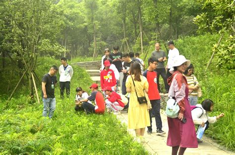 综合新闻 重庆地质矿产研究院