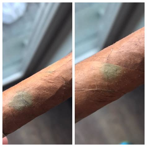 is this mold or just wrapper discoloration r cigars