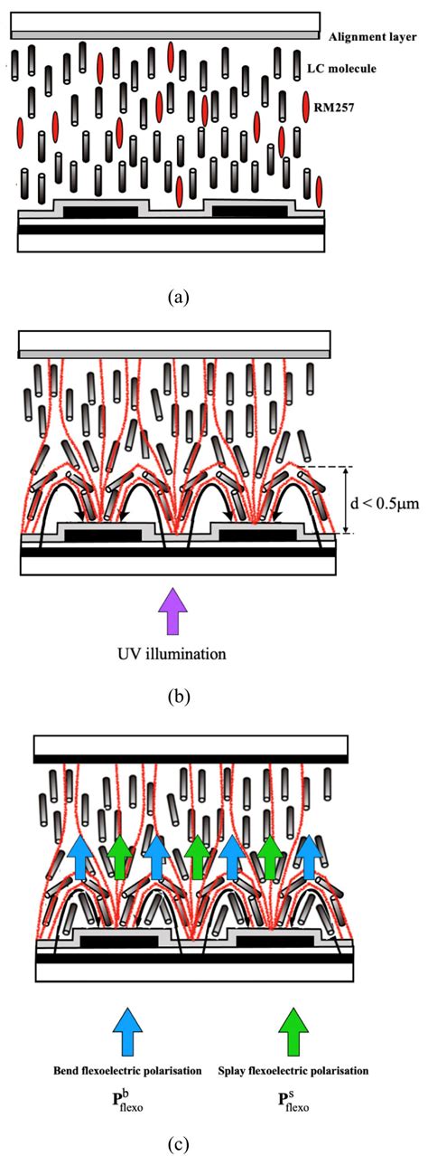 Cross Section Of The Experimental Cell Containing Liquid Crystal Download Scientific Diagram
