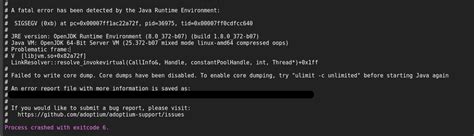 Someone Found Out How To Cause A Segfault In Java Rtechnope