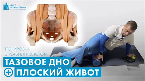 Плоский живот зависит от мышц тазового дна Комплекс упражнений на тазовое дно Youtube