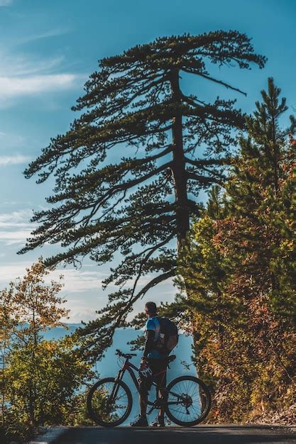 Premium Photo Man Riding Bicycle On Tree Against Sky