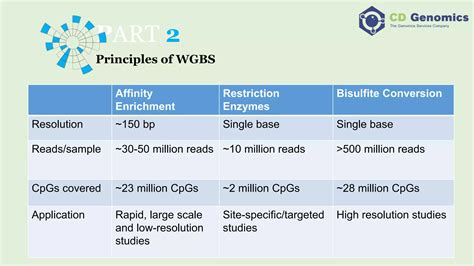 Principle And Workflow Of Whole Genome Bisulfite Sequencing Pptx