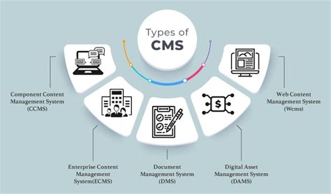 What Are The Different Types Of Cms