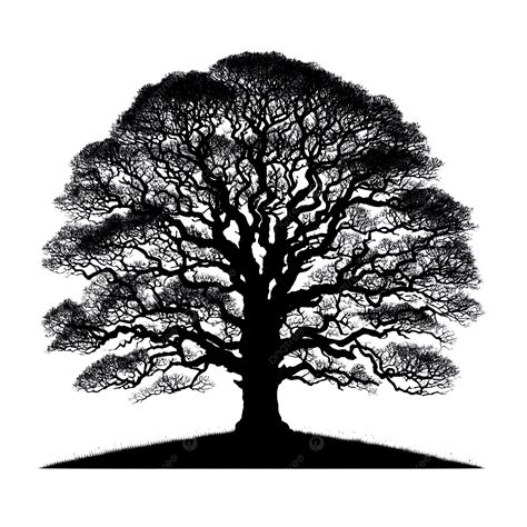 Oak Tree Silhouette Ai Generated Oak Tree Silhouette Tree Silhouette