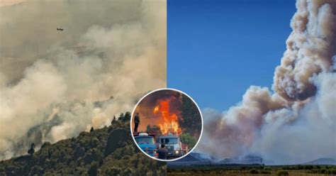 Más De 50000 Hectáreas Han Arrasado Los Incendios Forestales En La
