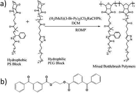 Branched Polymer Structure