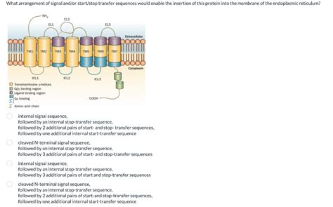 Solved Internal Signal Sequence Followed By An Internal