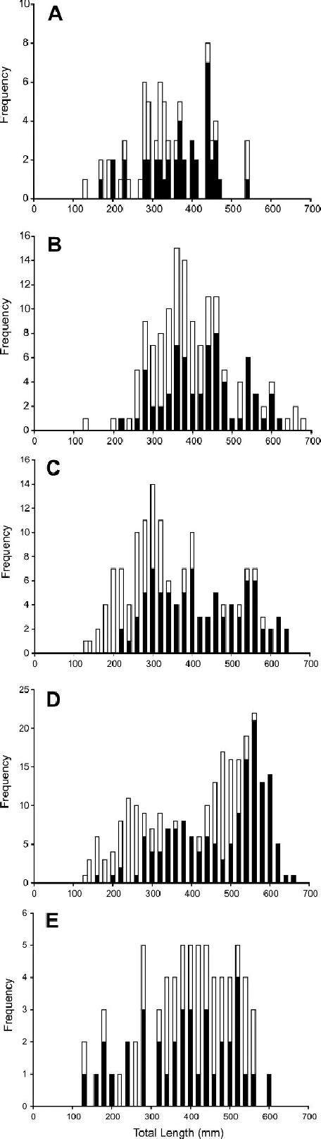 Histograms Of Frequency Of Occurrence Of Females Black And Males Download Scientific Diagram