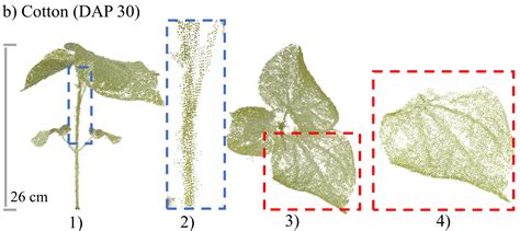 Plant4d Spatio Temporal Registration Of Plants Non Rigid 3 D Structures