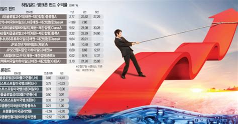 머니 안전 중시땐 뱅크론 펀드·공격 투자자엔 하이일드 안성맞춤