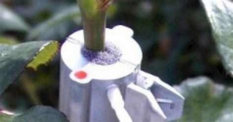 Implexx Sf 5t Sap Flow Sensor Umwelt Geräte Technik Gmbh