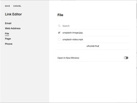 How To Add Images And Videos To Squarespace Accordion — Primitus Consultancy