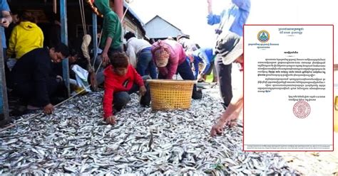 រដ្ឋបាលជលផល ឱ្យពលរដ្ឋ រួសរាន់ទៅទិញត្រី យកមកធ្វើប្រហុក ផ្អក ត្រីឆ្អើរ ឱ្យបានទាន់ពេល