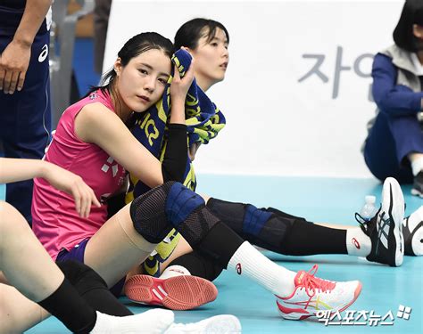 학폭 논란 이재영 이다영 어머니까지 비판 번졌다 나무뉴스