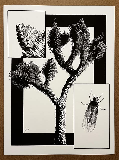 Joshua Tree Me Copic 2022 R Drawing