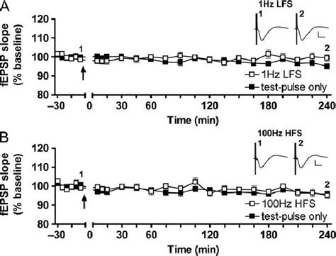 Patterned Stimulation Of The Ob Does Not Result In Synaptic Plasticity