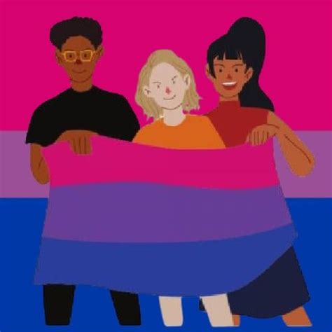Bisexual Flag S