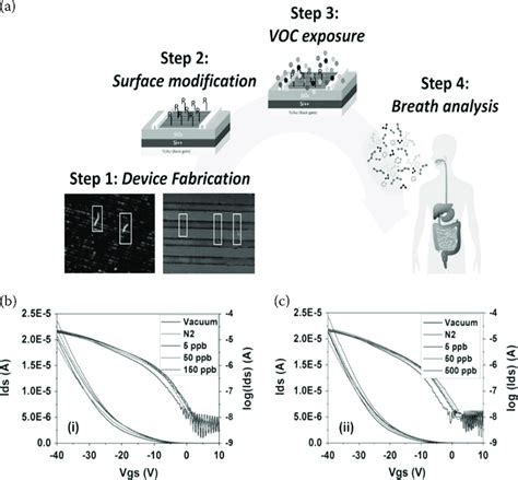 9 Detection Of Biomarkers By Nanowire Fet Sensor Shehada Et Al 2015 Download Scientific
