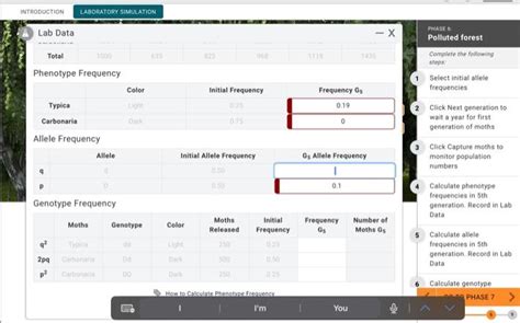 Solved Lab Data 1000 615 Phenotype Frequency Allele