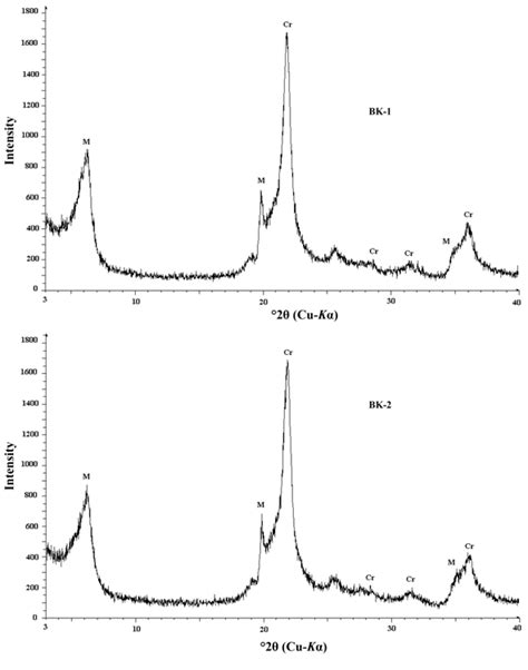 X Ray Diffraction Patterns Of Bk 1 And Bk 2 Samples M Download Scientific Diagram