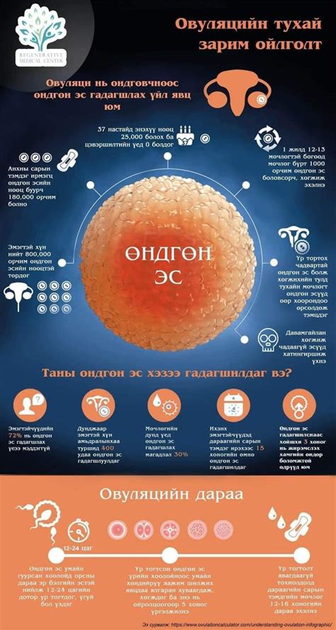 Эмэгтэй хүнд хэдэн өндгөн эс байдаг вэ