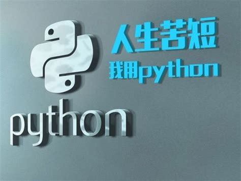 Python统计txt文件中的英文单词个数 OmegaXYZ