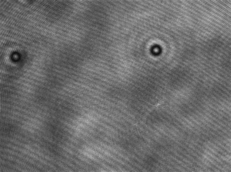 5 Forward Imaging Of The Sample Left Snapshot Of A Particle Which Is Download Scientific