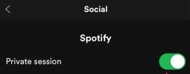 What Is Private Session On Spotify How To Hide