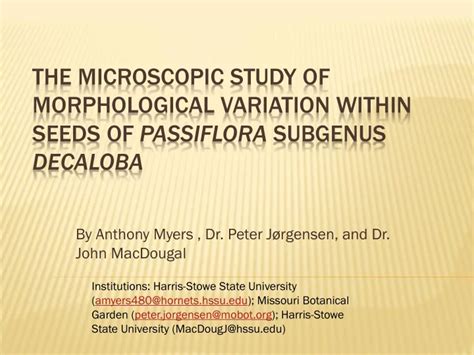 Ppt Morphological Variation Within Seeds Of Passiflora Subgenus Decaloba Powerpoint