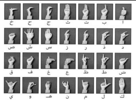 Figure 2 From E Cient Yolo Based Deep Learning Model For Arabic Sign Language Recognition