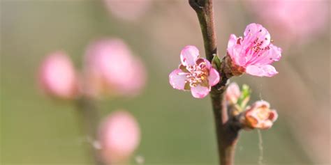 Status Of Syslog Ng On Macos Blog Syslog Ng Community Syslog Ng Community