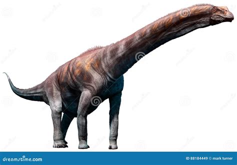 Argentinosaurus Illustration Stock Illustration Du Grand 88184449