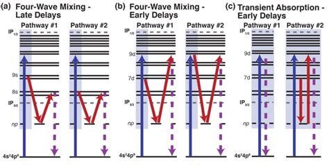 Pathway Interference Leads To Distinct Quantum Beat Oscillations In