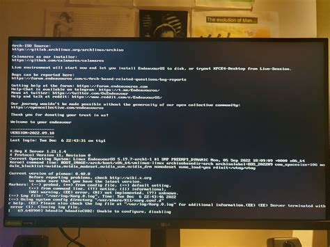 Live USB Boot Hangs On Triggering Uevents EndeavourOS