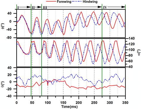 Time Histories Of Wing Flapping Motion ϕ Positional Angle θ Stroke