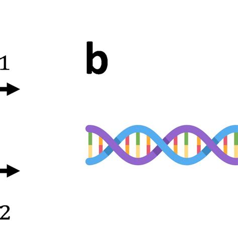 graph representations of simple directed acyclic graph models a tree download scientific