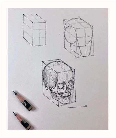 Rest Of The Fucking Skull R Restofthefuckingowl